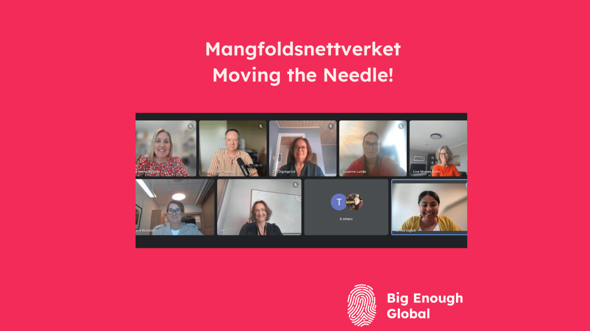 Hvordan lede mangfold? - Big Enough Global